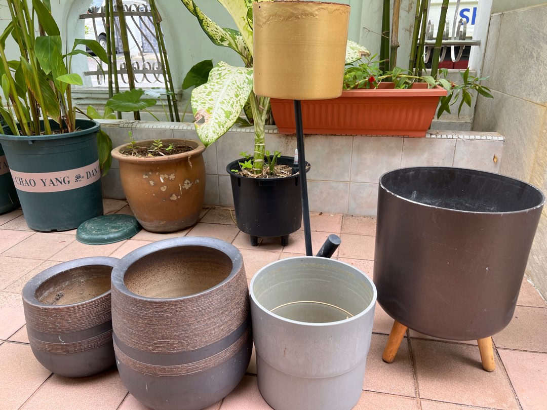 Plant pots, Furniture & Home Living, Gardening, Pots & Planters on ...