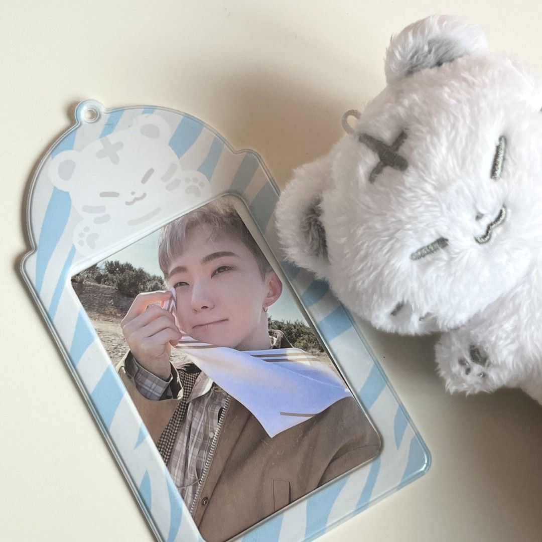 Seventeen SVT Hoshi Hojji 10cm Silver Tiger Doll by @hojji_loverz ...