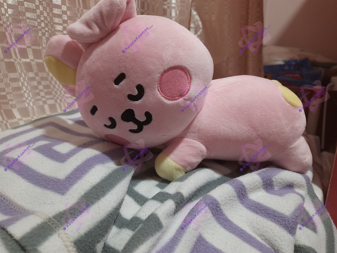 BT21 COOKY BABY LYING CUSHION, Hobbies & Toys, Memorabilia & Collectibles, K-Wave on Carousell