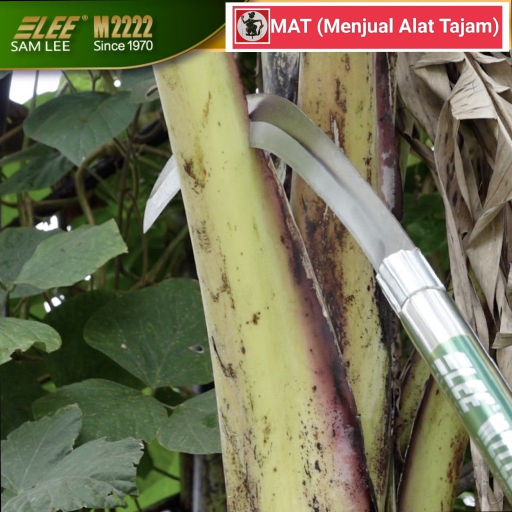 Ichiban Sickle / Sabit Kait Buah / Sabit Pisang / Banana or Fruits ...