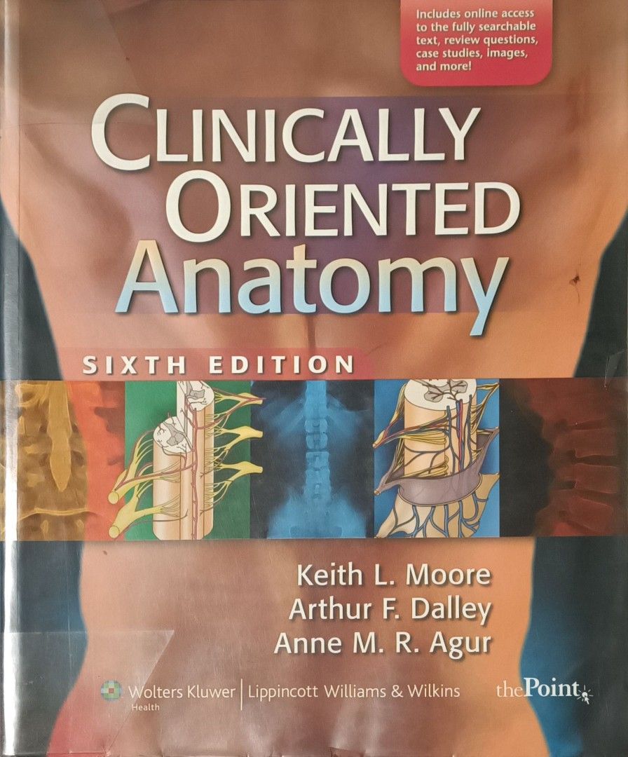 Moore Clinically Oriented Anatomy 6th Edition Hobbies Toys Books