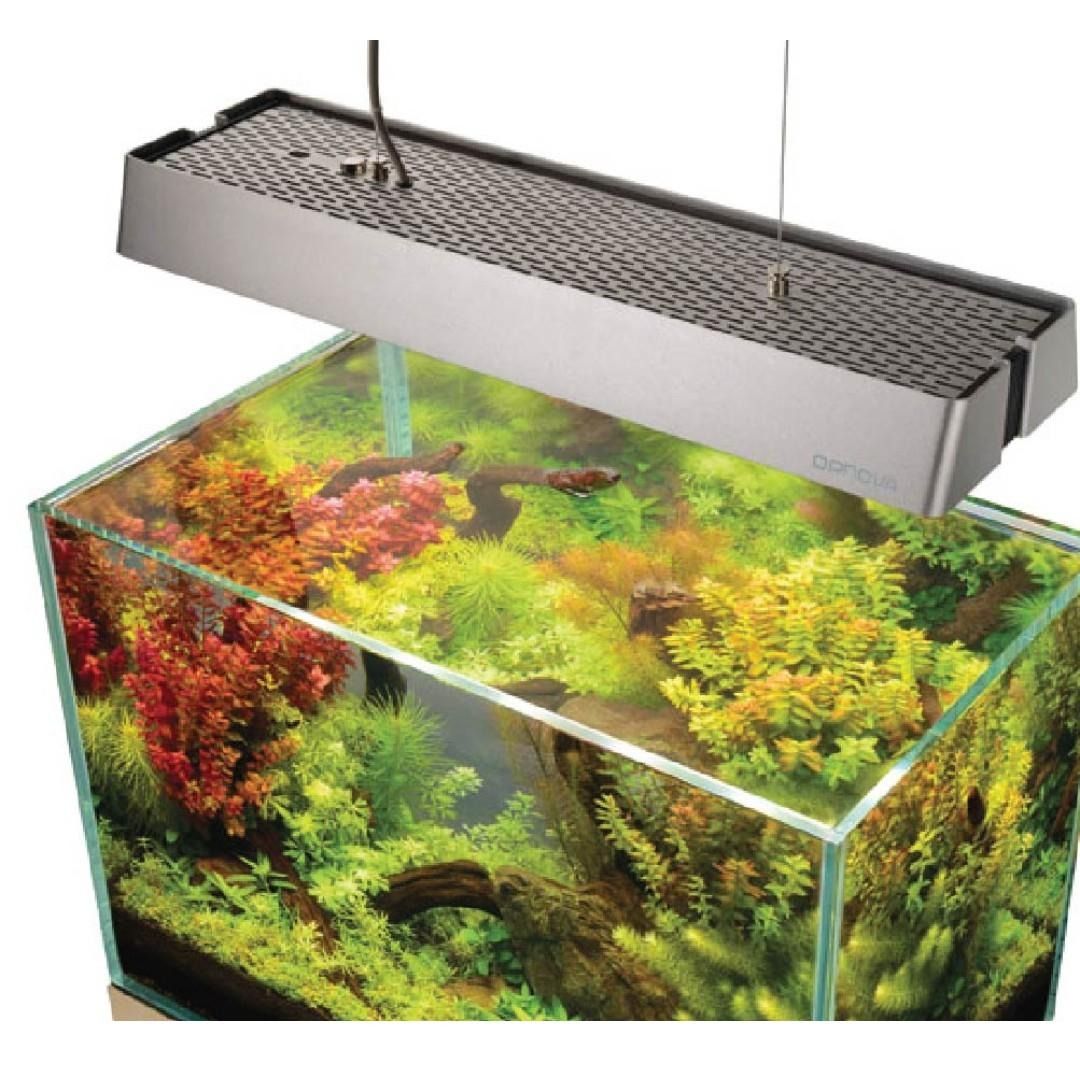 Opnova Ez-600 Aquarium Light, Pet Supplies, Homes & Other Pet ...