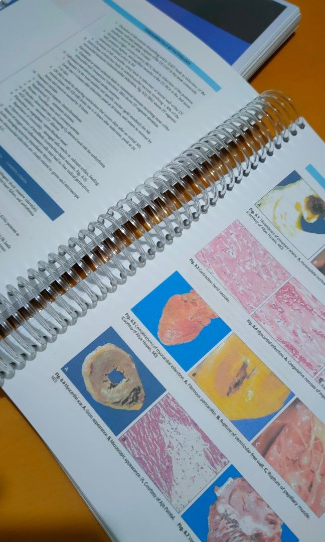 Pathoma: Fundamentals of Pathology 2021 Edition Medical Boards Reviewer ...