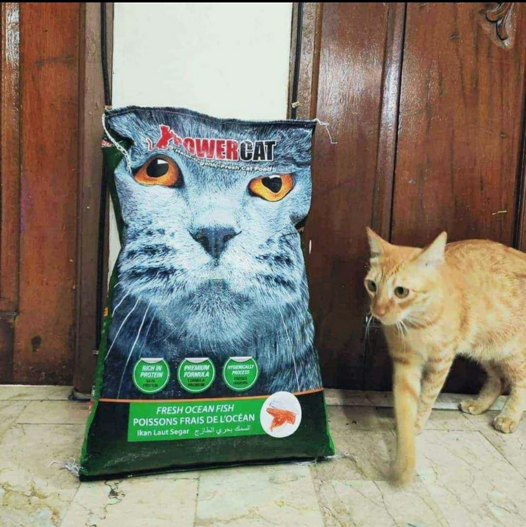 Powercat fresh ocean fish 8kg, Pet Supplies, Pet Food on Carousell