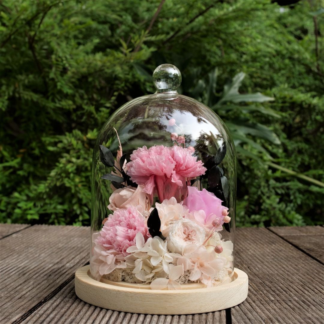 Preserved flowers in dome - Large & Small Size - NOT ARTIFICIAL ...