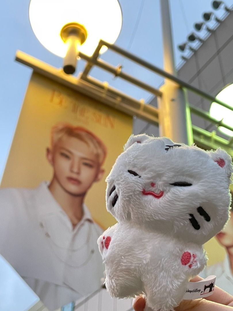 Seventeen SVT Hoshi Soonrangi (1st PO) 10cm White Tiger Doll by ...