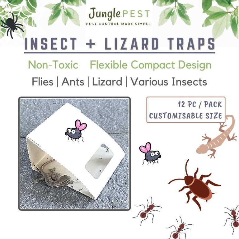 Controz ICE 12 PC Cockroach, Crawling Insect & Lizard Sticky Mini Trap ...
