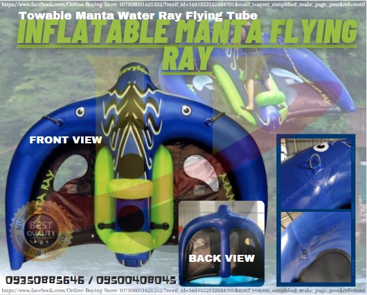 Inflatable Manta Ray Flying Towable, Sports Equipment, Sports & Games ...