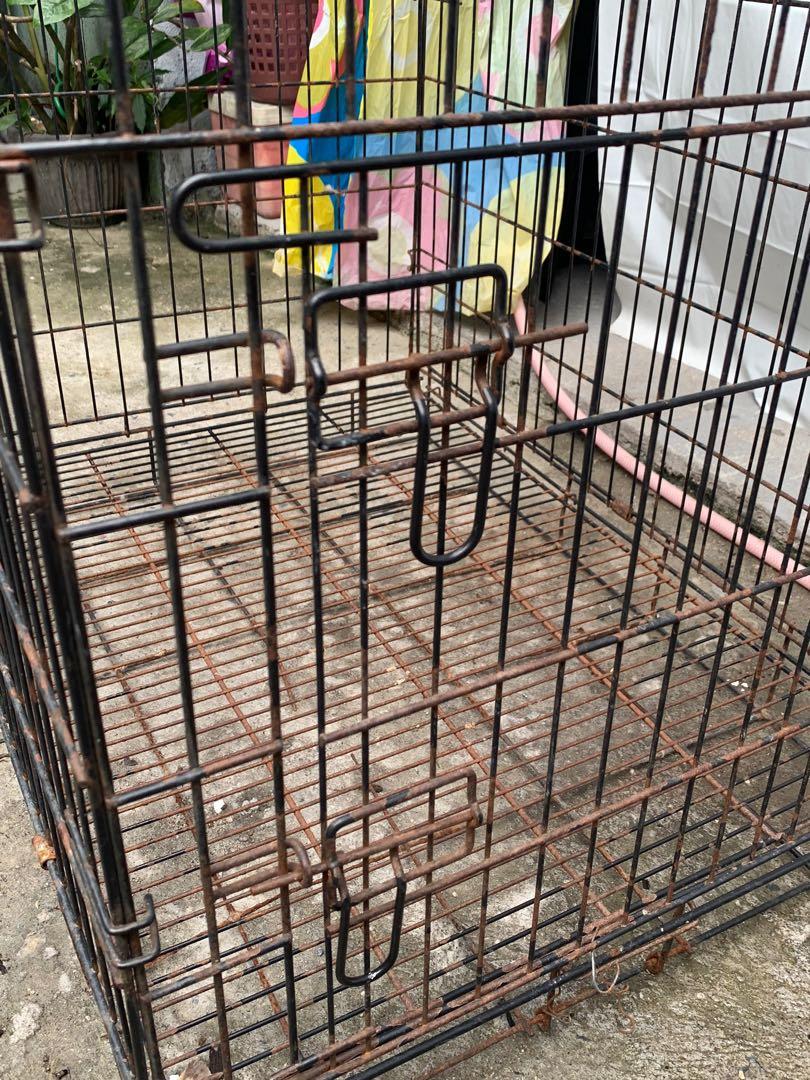 Pet Cage, Pet Supplies, Homes & Other Pet Accessories on Carousell