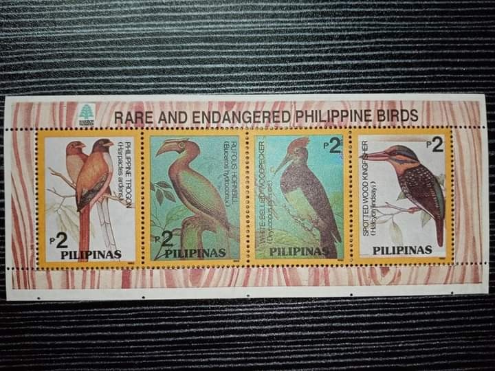 RARE AND ENDANGER PHILIPPINE BIRDS CN67, Hobbies & Toys, Memorabilia ...