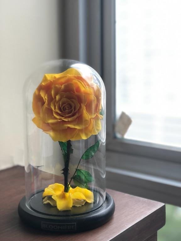 Infinity Rose Glass Dome (Preserved Flower) for Valentine's Day ...