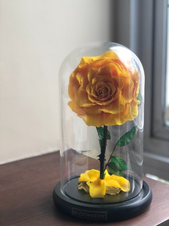 Infinity Rose Glass Dome (Preserved Flower) for Valentine's Day ...