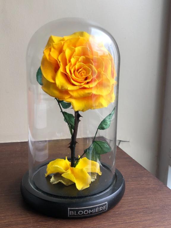 Infinity Rose Glass Dome (Preserved Flower) for Valentine's Day ...