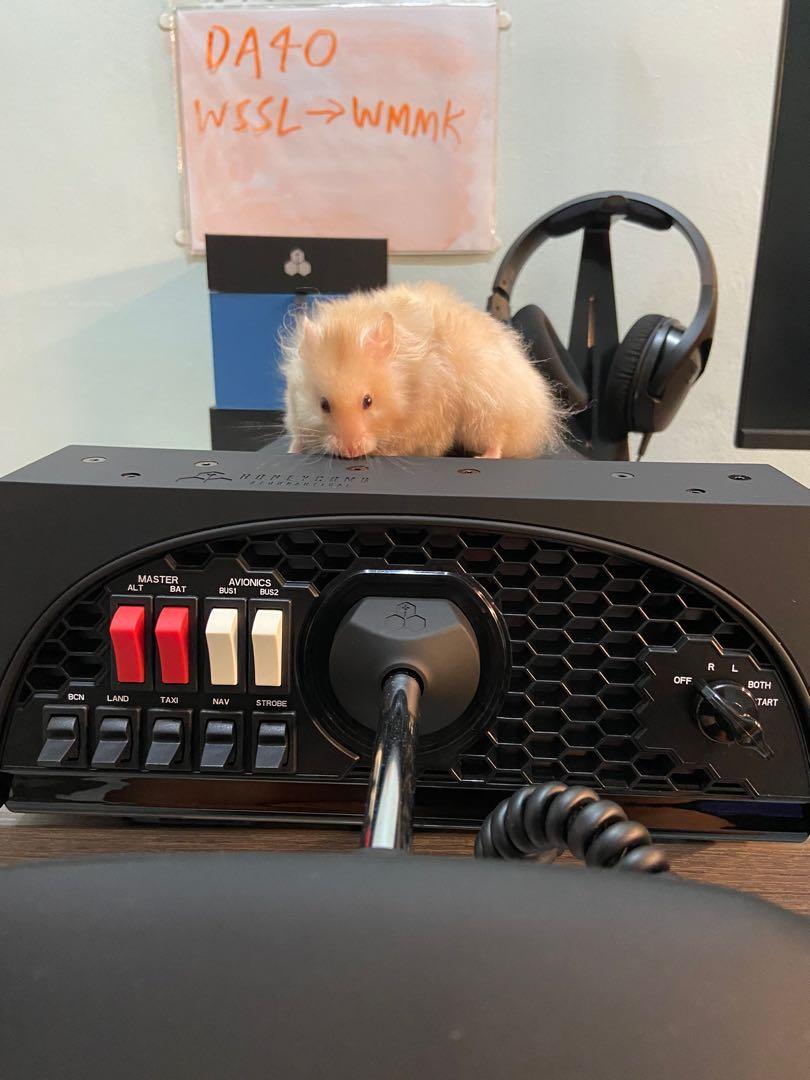 [OFFICIAL] BNIB Honeycomb Flight Simulator Sets - Alpha Yoke and Bravo ...