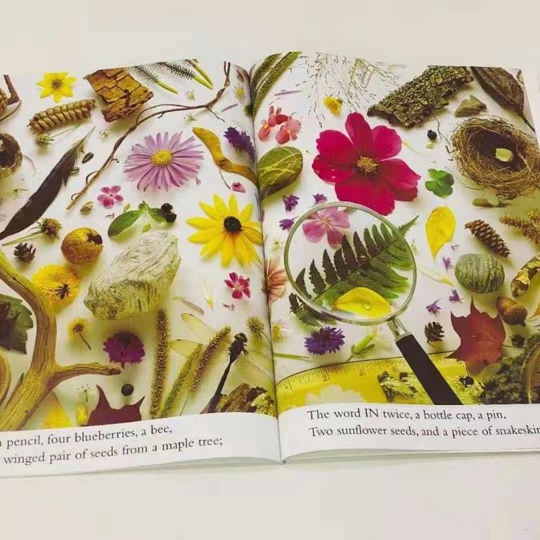 Scholastic I Spy Ultimate Collection Children Popular Education Books ...