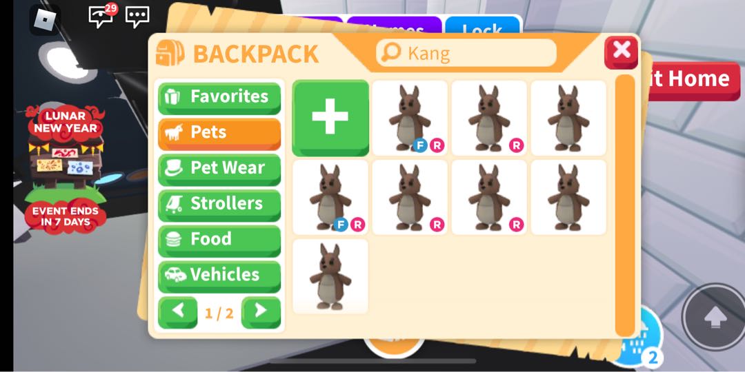 ADOPT ME NORMAL/RIDE/FLY KANGAROO, Video Gaming, Gaming Accessories, In ...