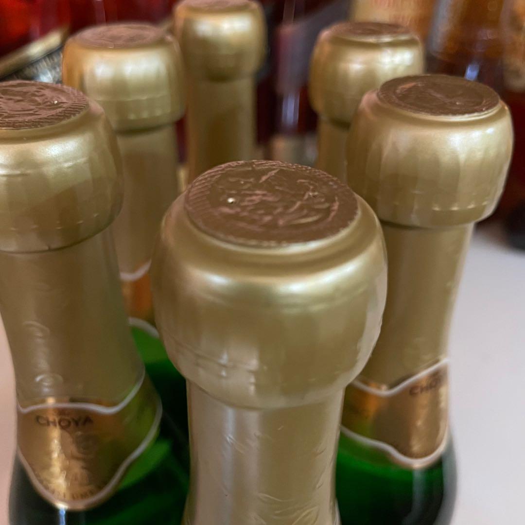 Choya Salute Ume Sparkling Umeshu 200ml, Food & Drinks, Beverages on ...