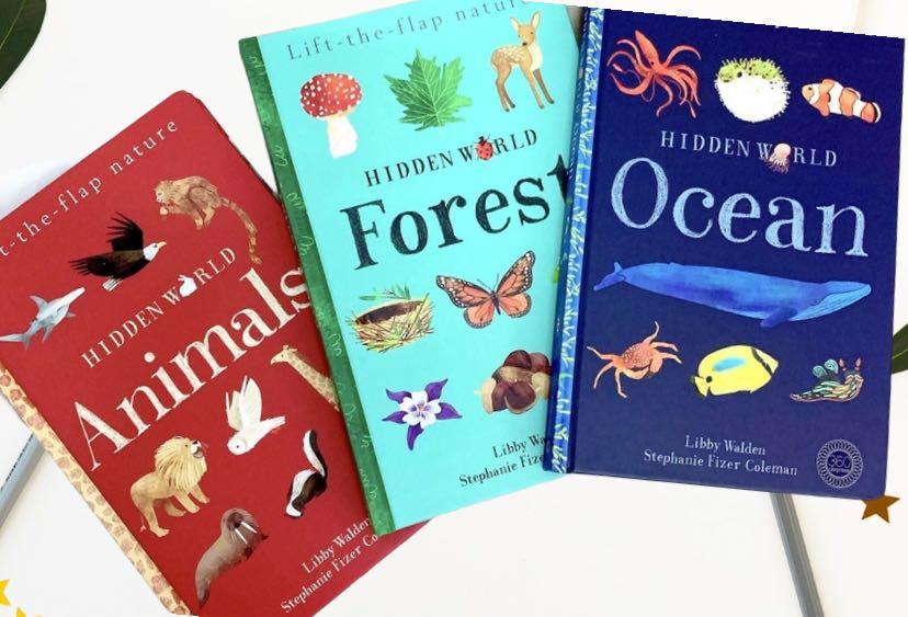 Hidden World Book Series by Libby Walden, Hobbies & Toys, Books ...