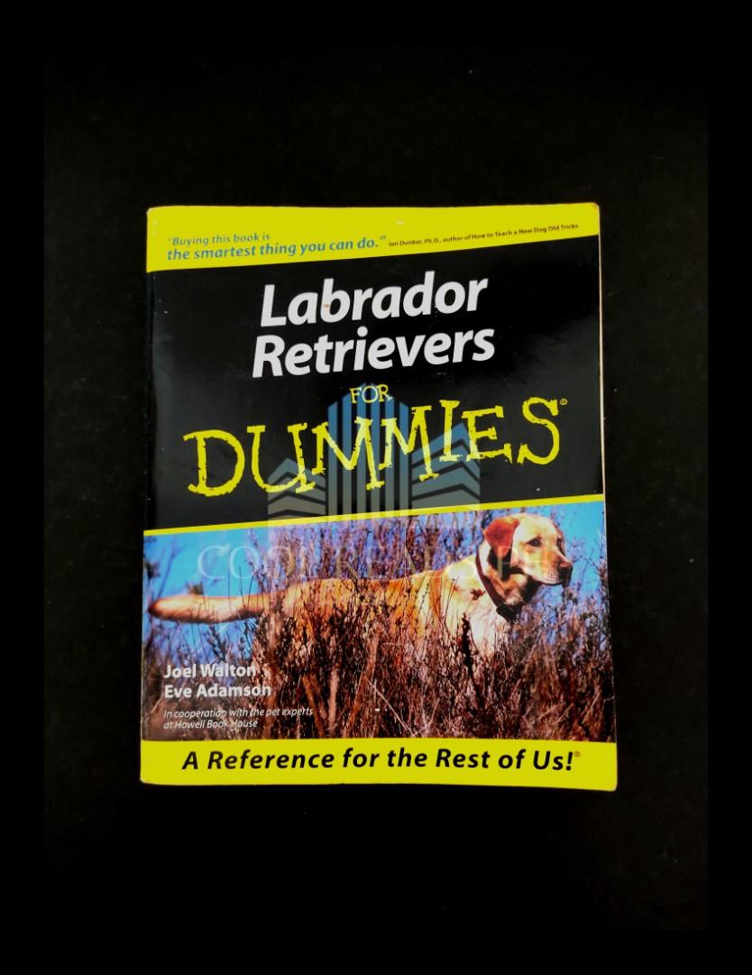 Labrador Retrievers for Dummies by Walton & Adamson, Hobbies & Toys ...