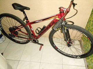 MTP monster 29er, Sports Equipment, Bicycles & Parts, Bicycles on Carousell