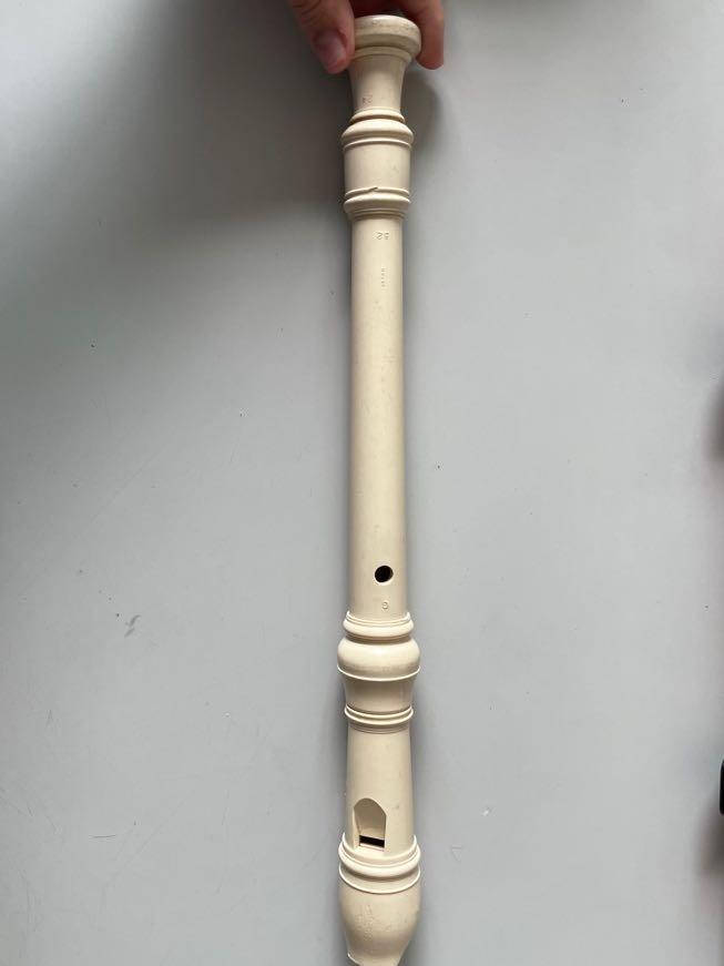 Recorder, Hobbies & Toys, Music & Media, Musical Instruments on Carousell
