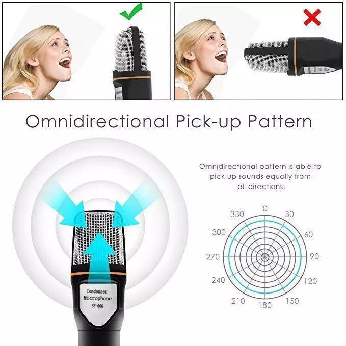 SF-666 Condenser Microphone Professional Recording Desktop USB Beginner ...