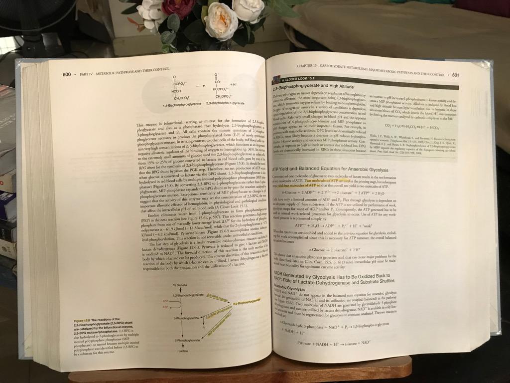 Textbook of Biochemistry with Clinical Correlations, 7th Edition ...