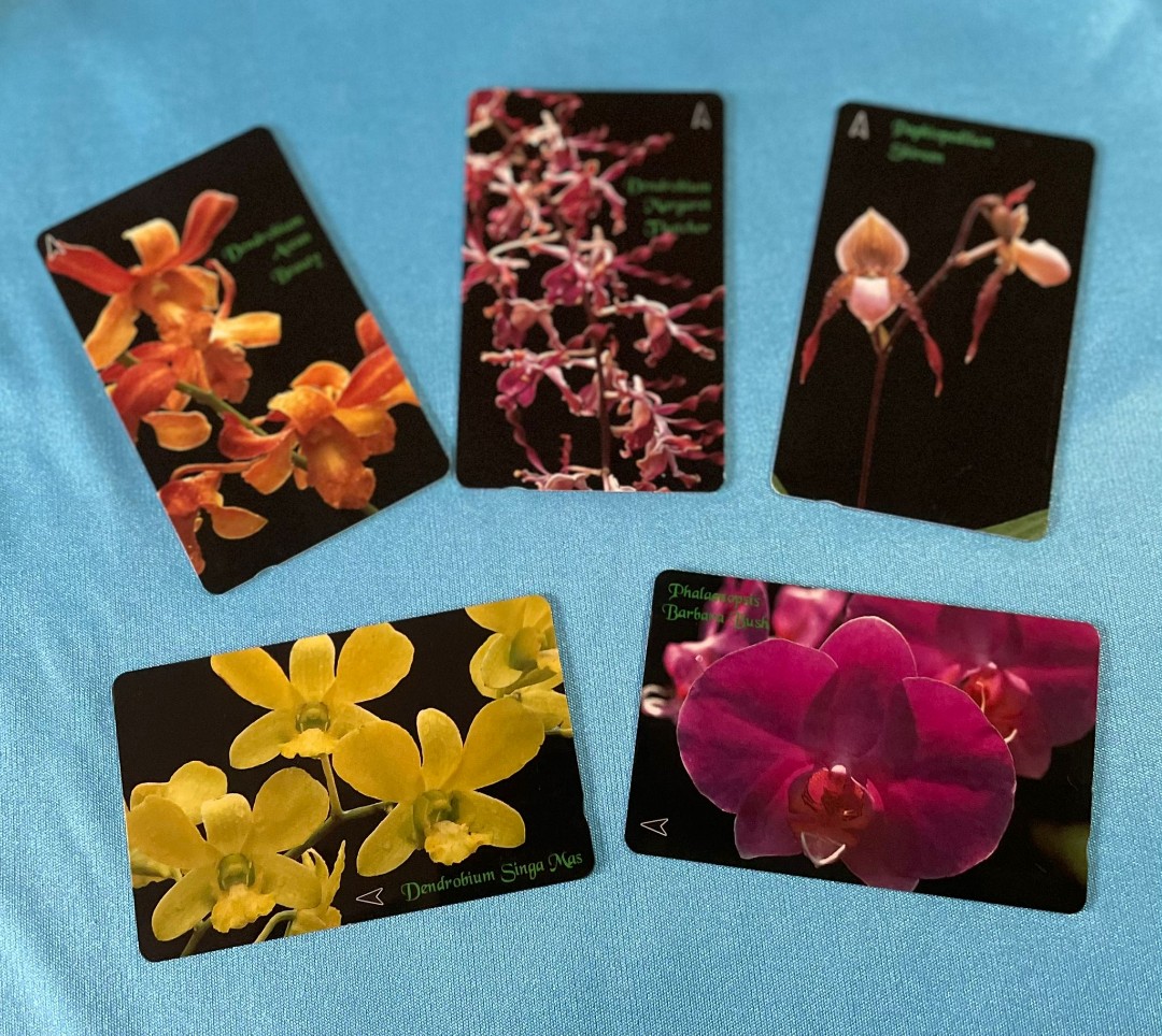 Vintage phone cardsa, Hobbies & Toys, Memorabilia & Collectibles ...