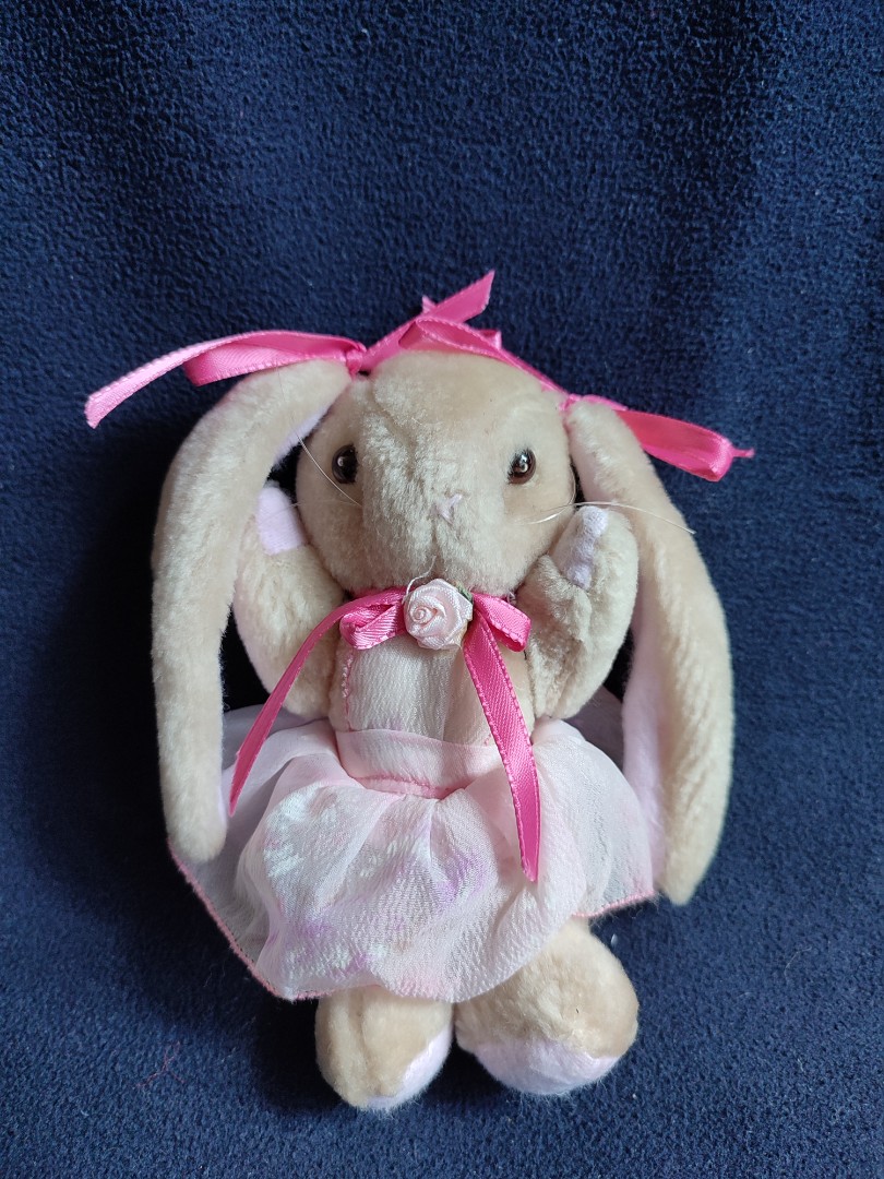 Ballet Bunny Small Stuffed Toy, Hobbies & Toys, Toys & Games on Carousell