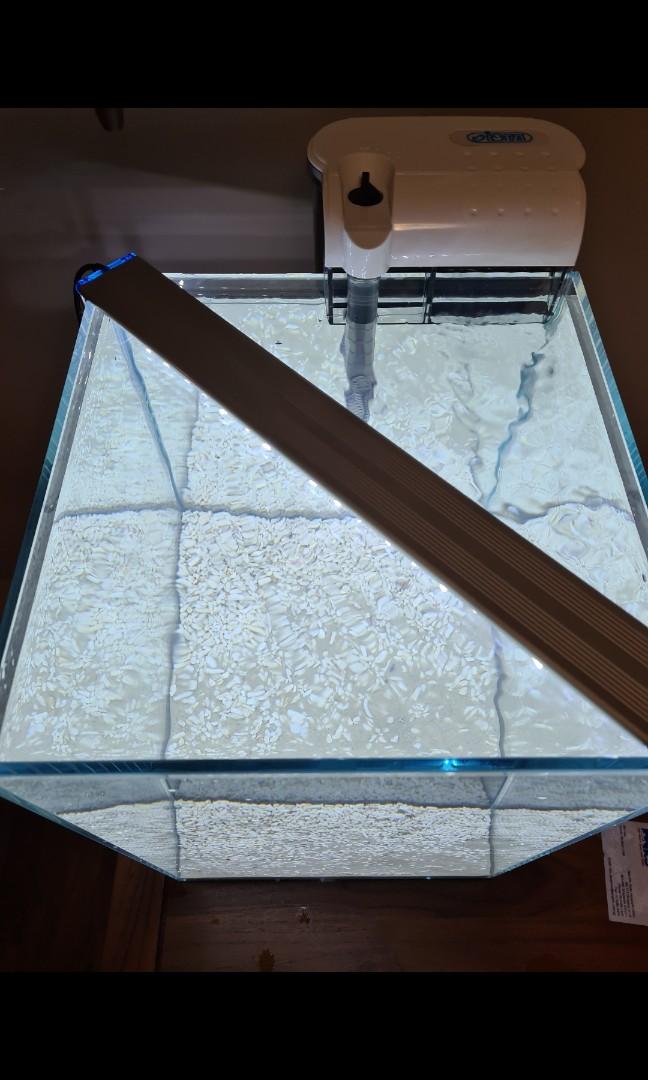 Fish Tank (Crystal), Pet Supplies, Homes & Other Pet Accessories on ...