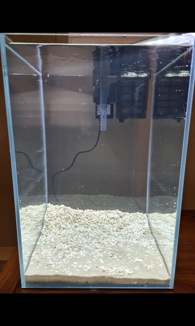Fish Tank (Crystal), Pet Supplies, Homes & Other Pet Accessories on ...
