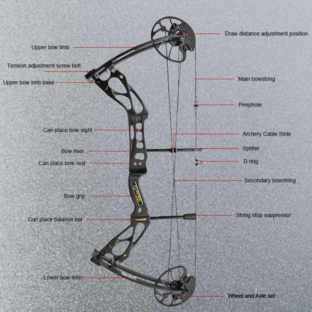 [Mid-Mar2022] Sanlida Dragon X8 0-60lbs Hunting Compound Bow, Sports ...