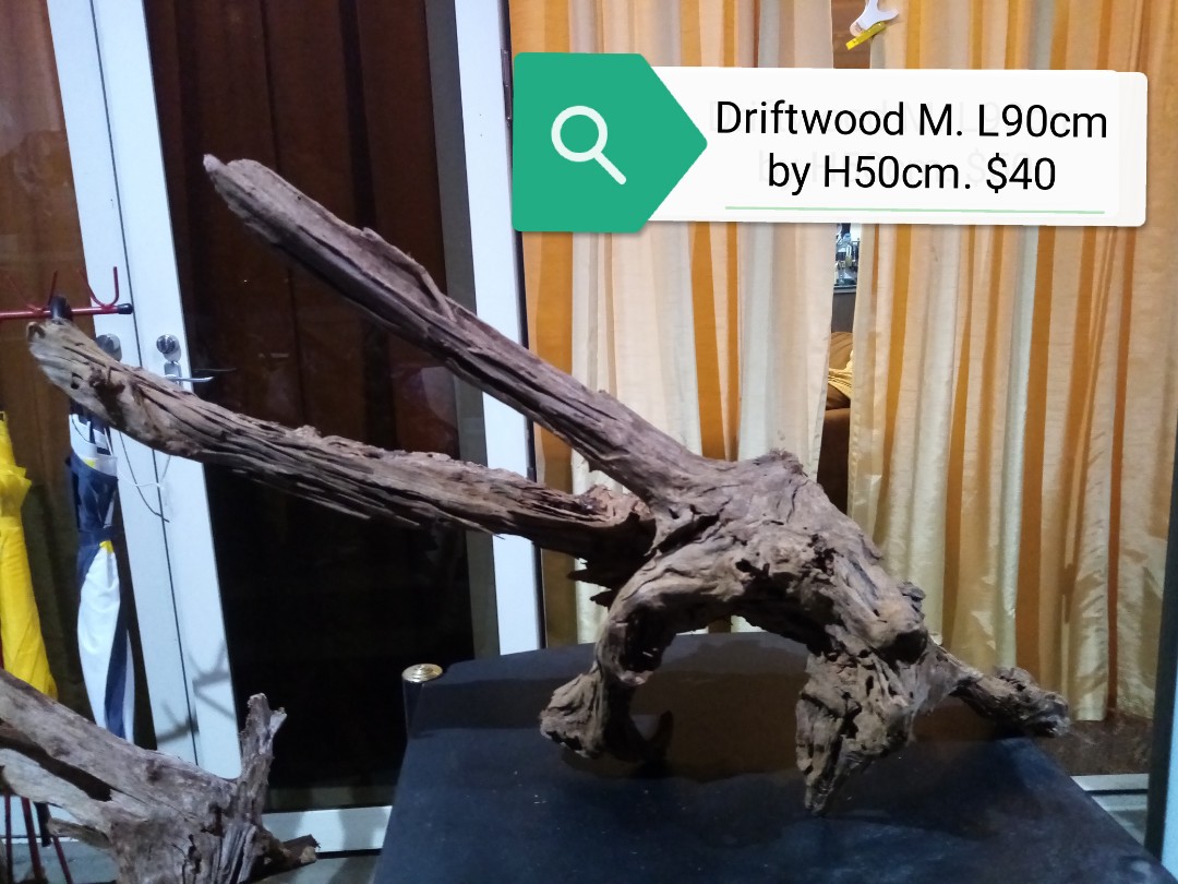 Extra Large beautiful driftwood, Pet Supplies, Homes & Other Pet ...
