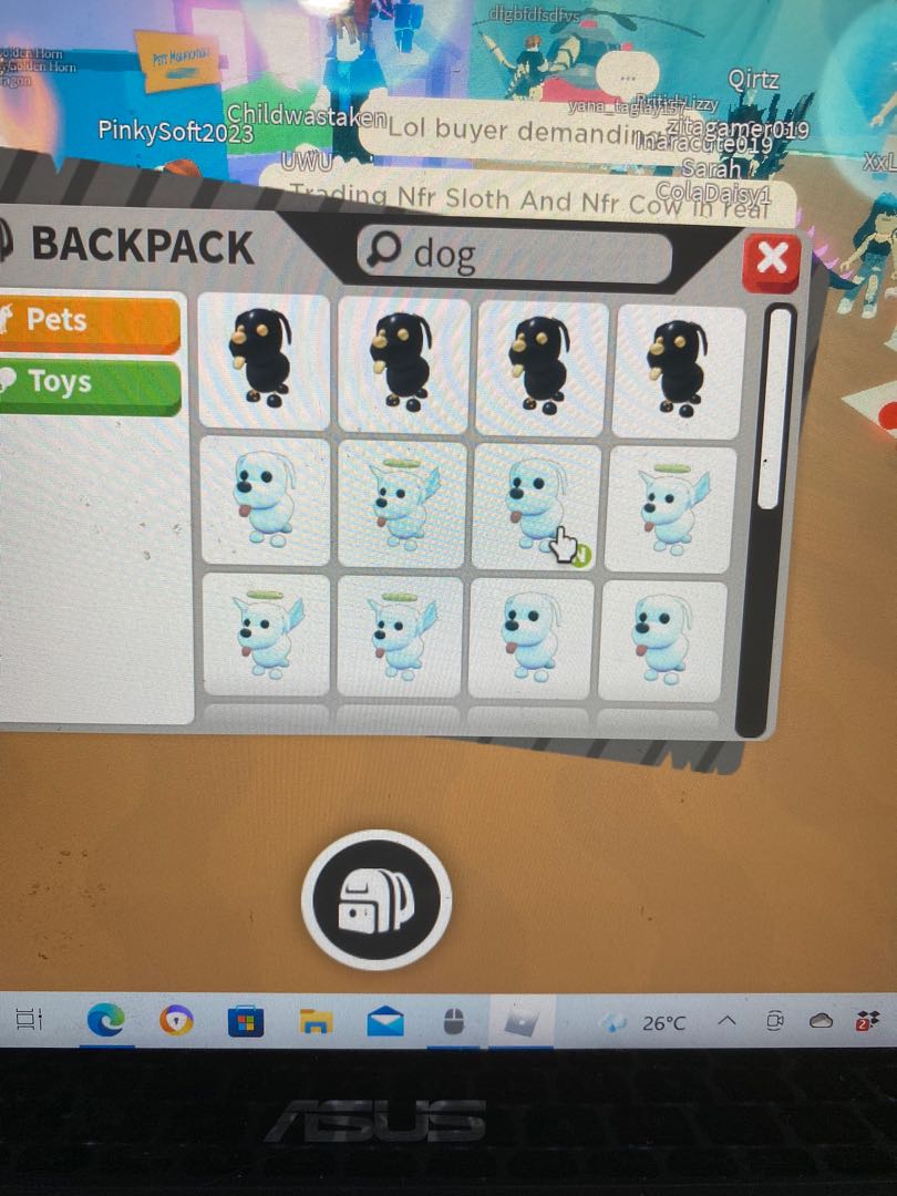 Selling cheap adopt me custom pets : dogs, Video Gaming, Gaming ...