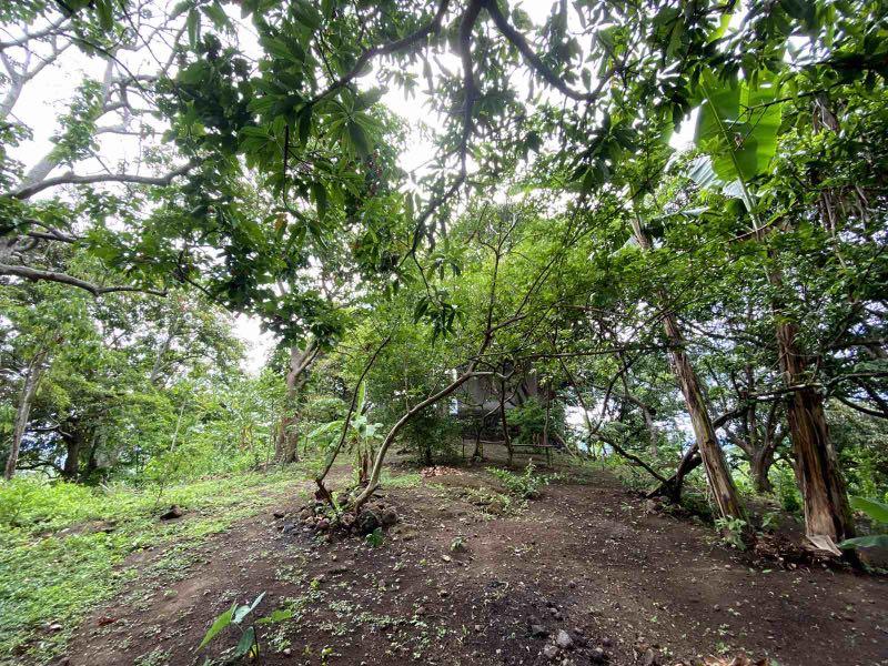 Cardona, Rizal 2.2 Hectares for Sale on Carousell
