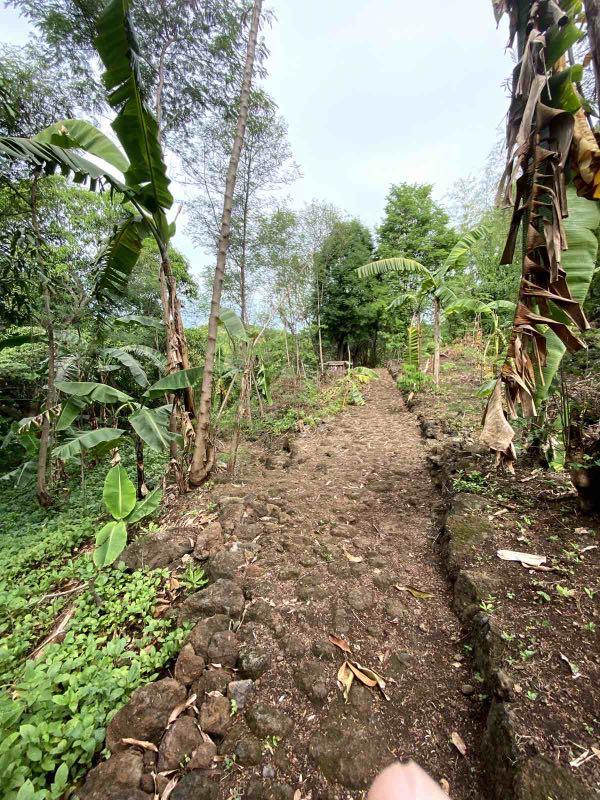 Cardona, Rizal 2.2 Hectares for Sale on Carousell