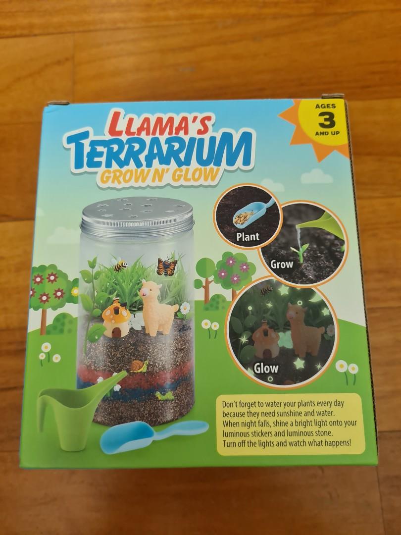 DIY TERRARIUM BRAND NEW, Furniture & Home Living, Gardening, Plants ...