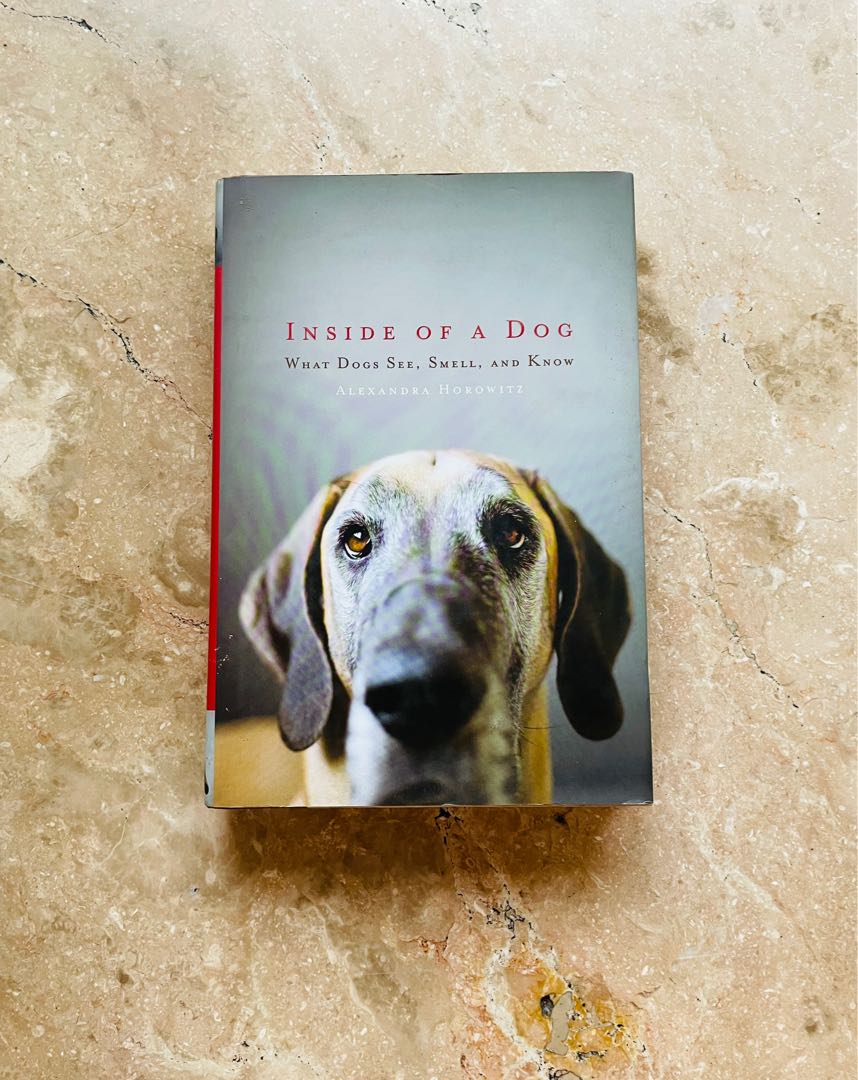 Inside of a Dog by Alexandra Horowitz, Hobbies & Toys, Books ...