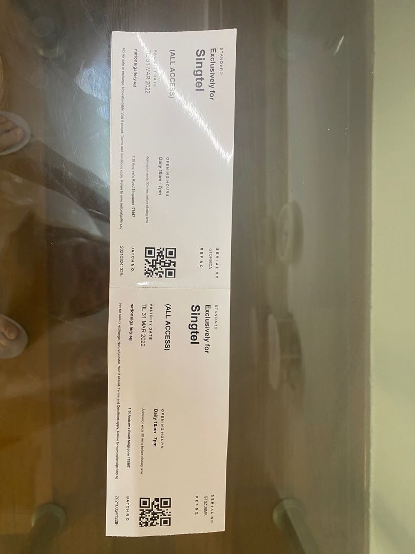 National gallery all access ticket, Tickets & Vouchers, Local ...