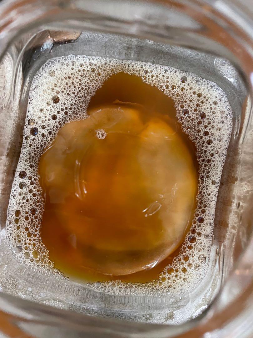 Scoby for kombucha, Food & Drinks, Other Food & Drinks on Carousell