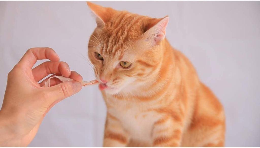 (現貨/預購) 獅王 Lion Petkiss 貓貓潔齒 魚乾/雞柳乾/蟹柳絲 零食 12g (日本製), 寵物用品, 寵物食品 - Carousell