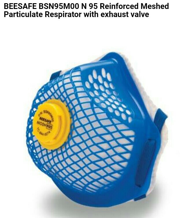 BEESAFE BSN95M00 N95 Reinforced Meshed Particulate Respirator with ...
