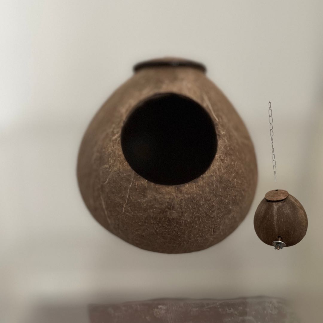 COCONUT SHELL HAMSTER HOUSE, Pet Supplies, Homes & Other Pet ...