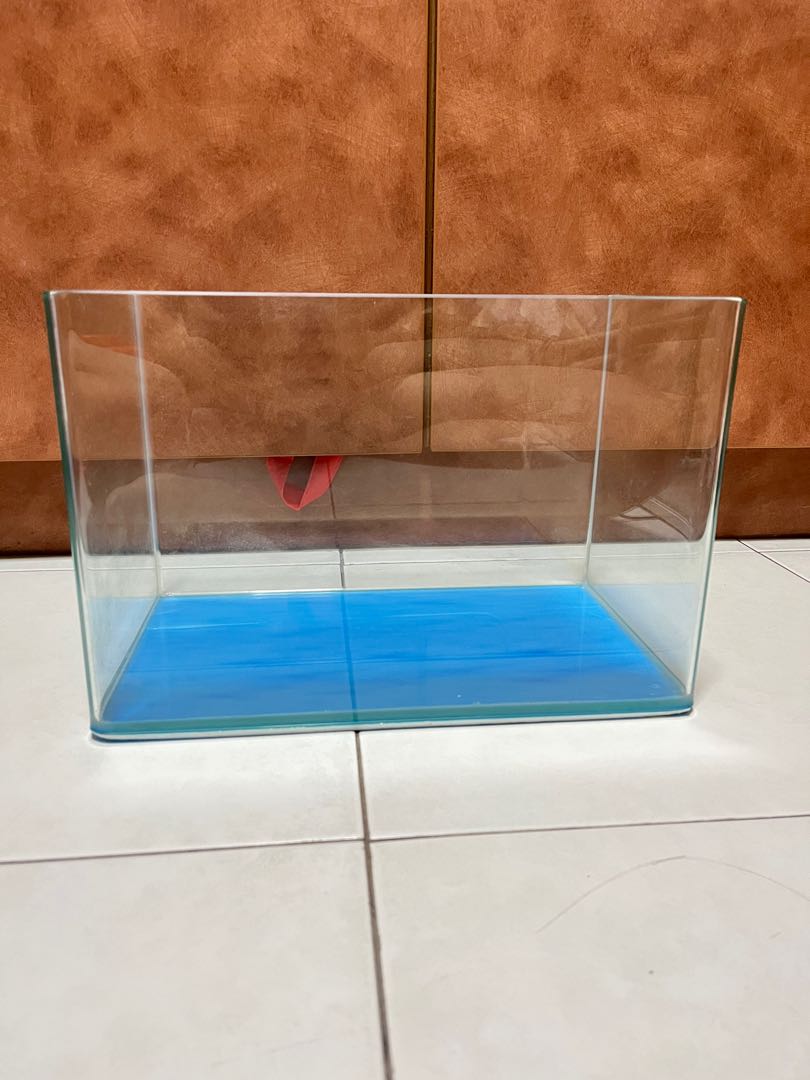 1ft / 30cm Glass Fish Tank, Pet Supplies, Homes & Other Pet Accessories ...