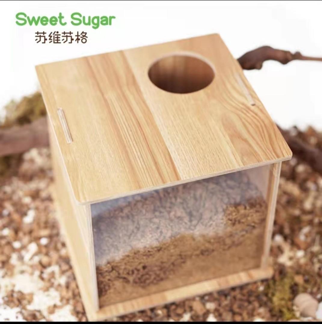 Hamster dig box ( sweet sugar), Pet Supplies, Homes & Other Pet ...