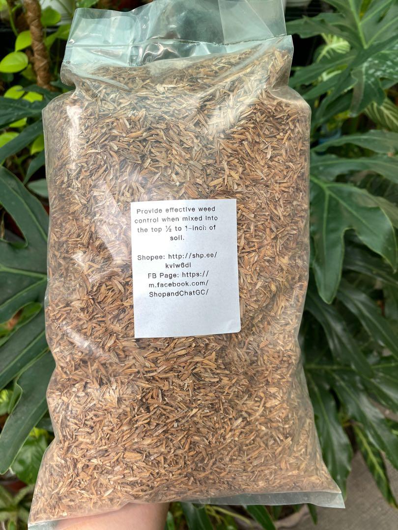 Ricehull or IPA ng Palay 300grams, Furniture & Home Living, Gardening ...