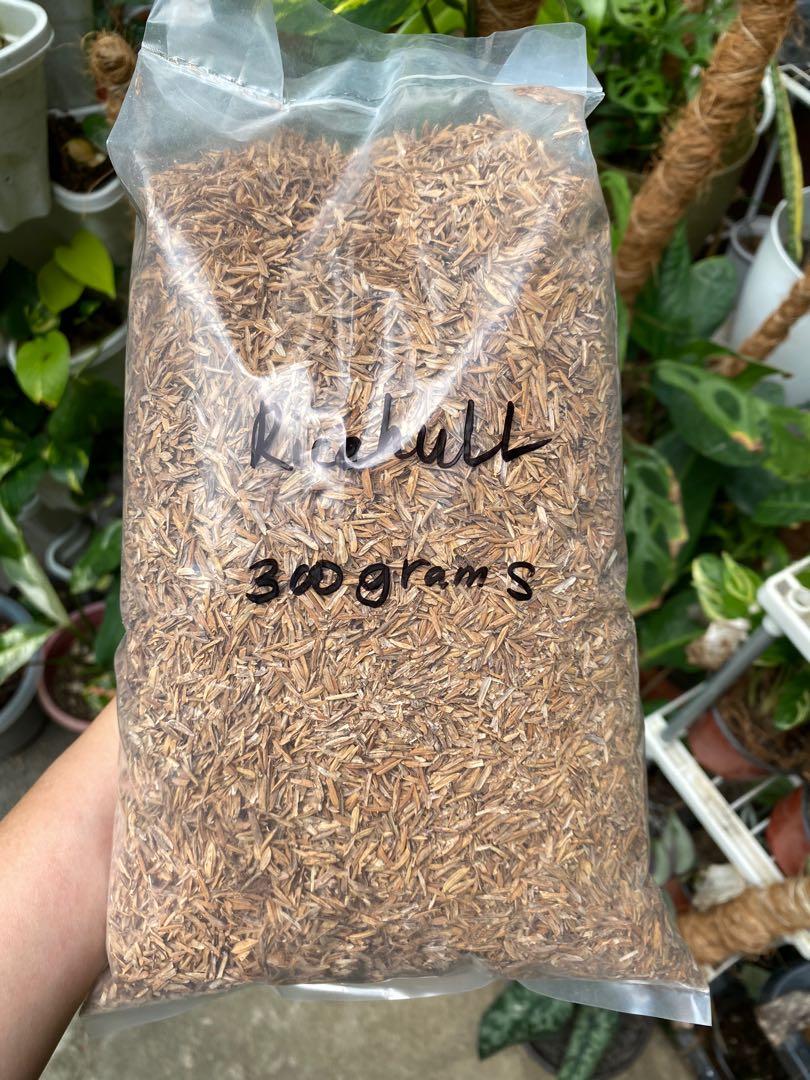 Ricehull or IPA ng Palay 300grams, Furniture & Home Living, Gardening ...