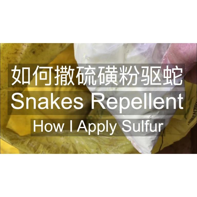 Sulphur Flake (1500g) - to ward off snakes and lower soil pH, Furniture ...