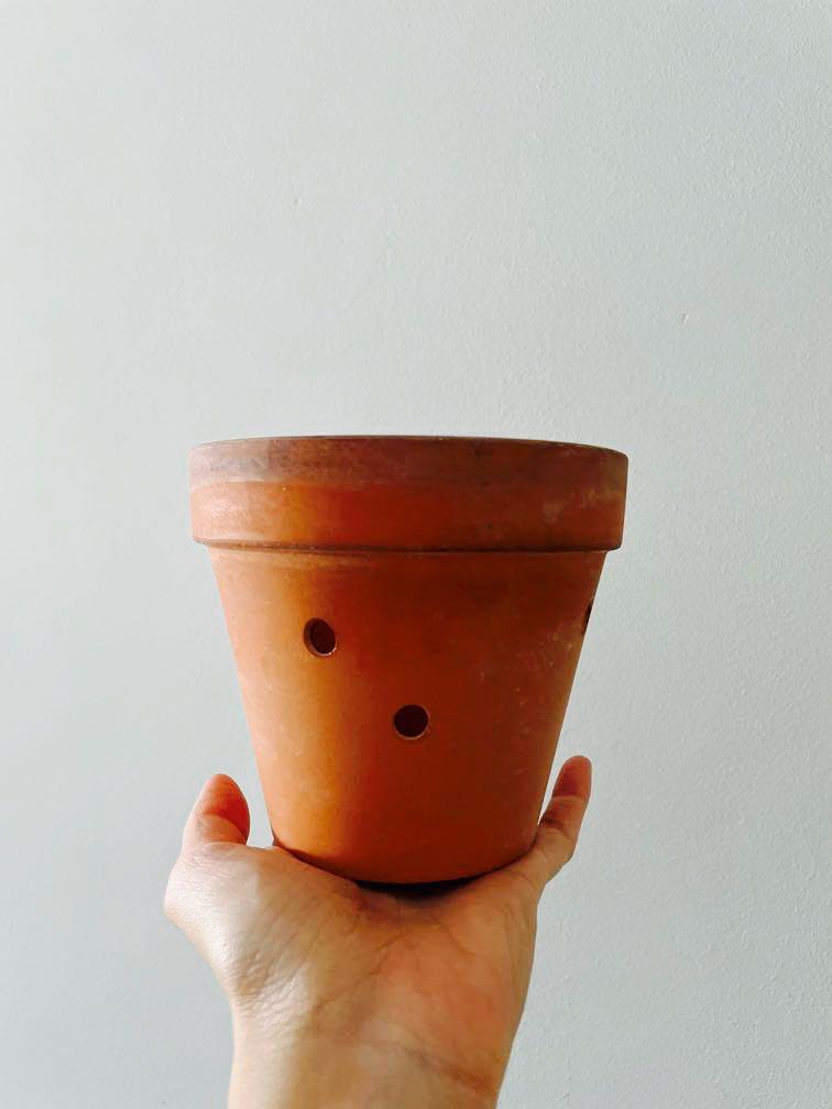 Holey terracotta pot, Furniture & Home Living, Gardening, Pots ...