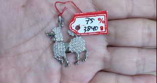 Anjing poodle Dijual | Carousell Indonesia